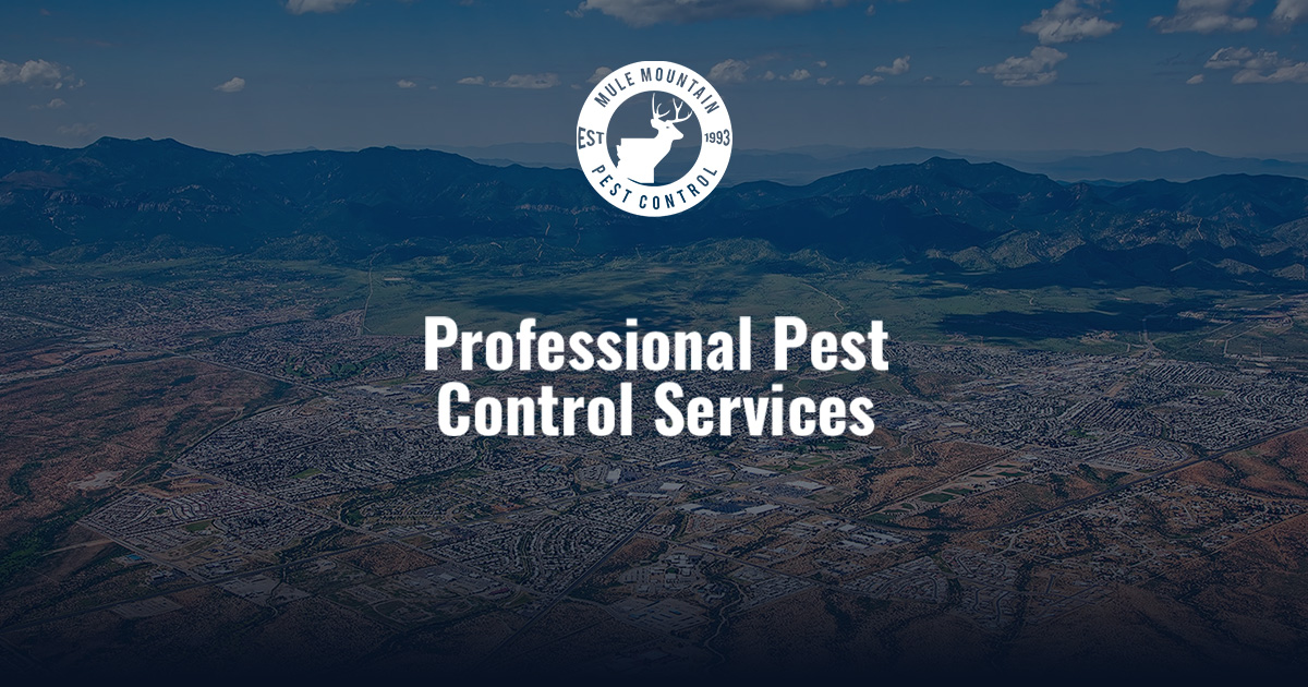 Pest Control in Sierra Vista, AZ | Mule Mountain Pest Control